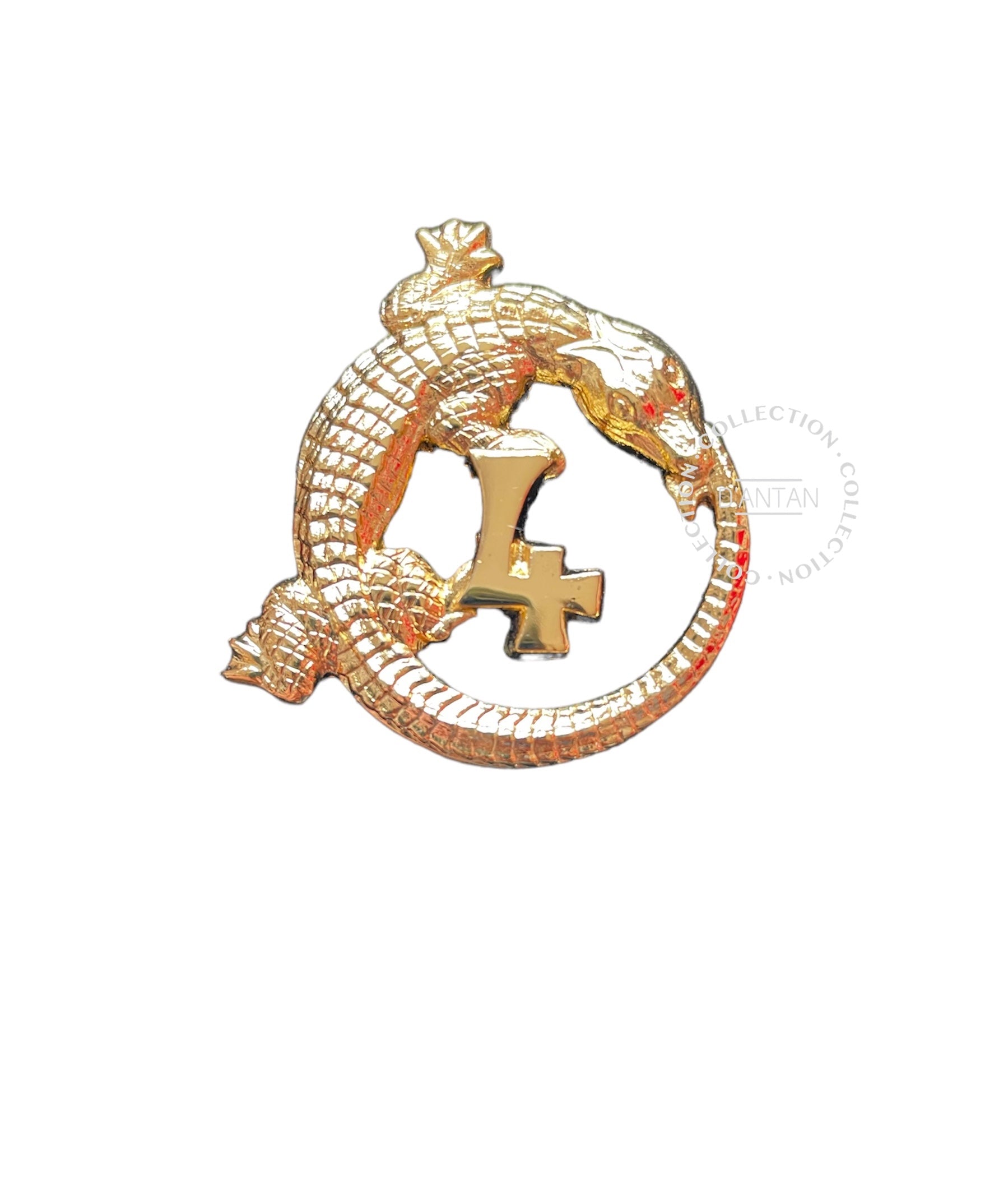 Insigne/Badge/Pucelle Militaire Français 4 ème RST Régiment de Spahis ...