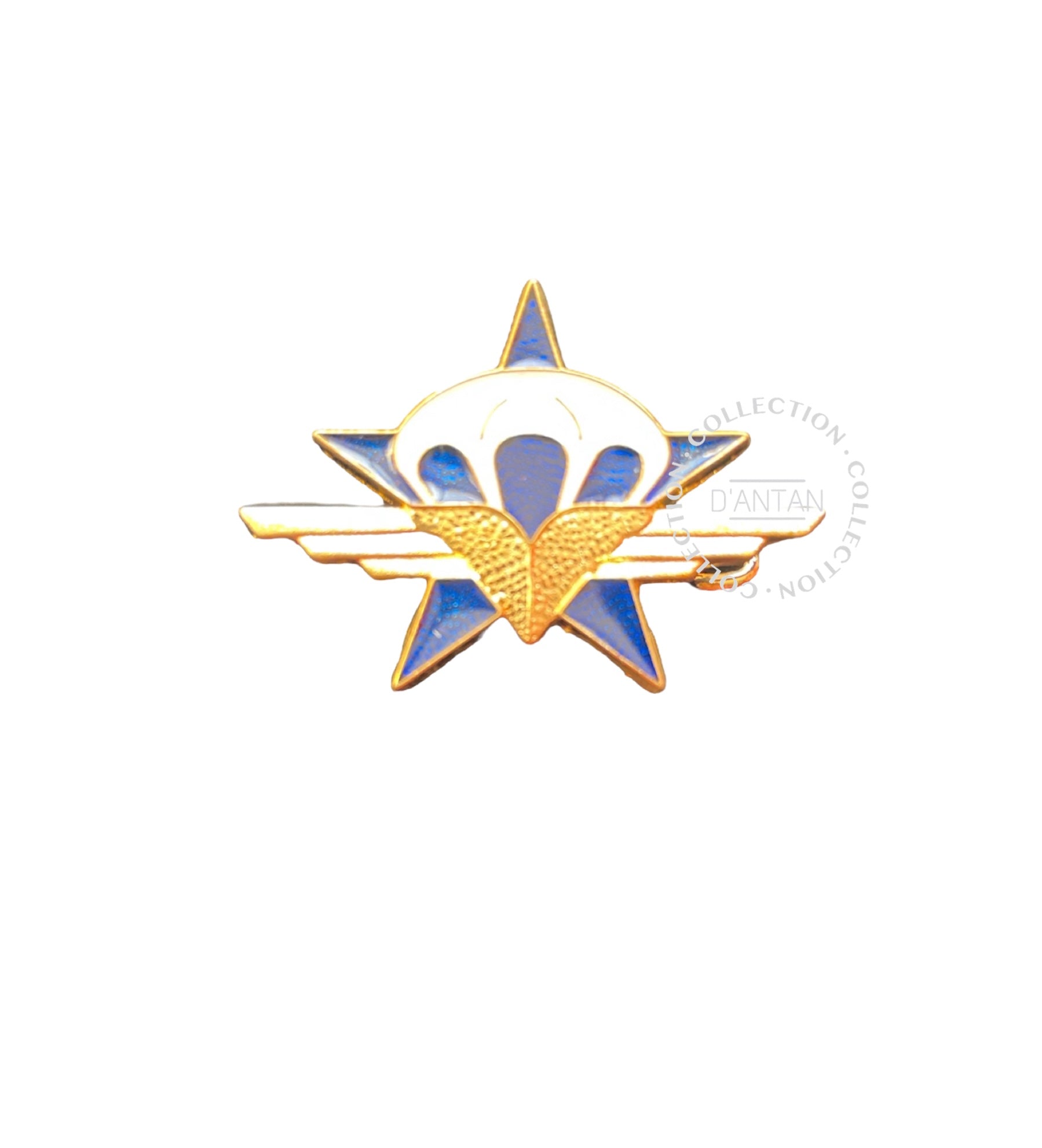 Insigne/Badge/Pucelle Militaire Français 1 er RCP Régiment de Chasseur ...